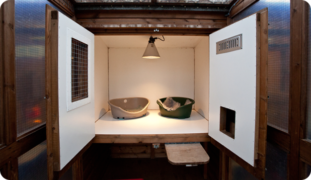 Cattery in Knutsford